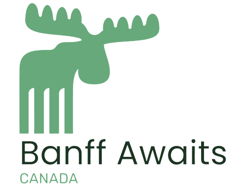 Must-See Wildlife In Banff National Park & Where To See Them