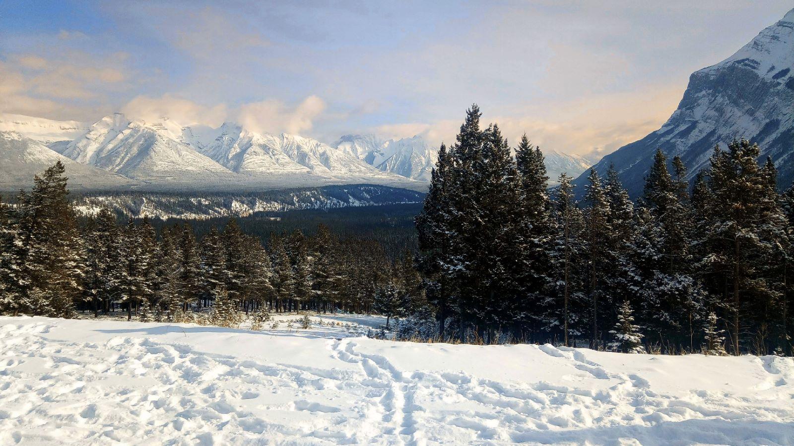 Discover The Winter Wonderland of Banff in January