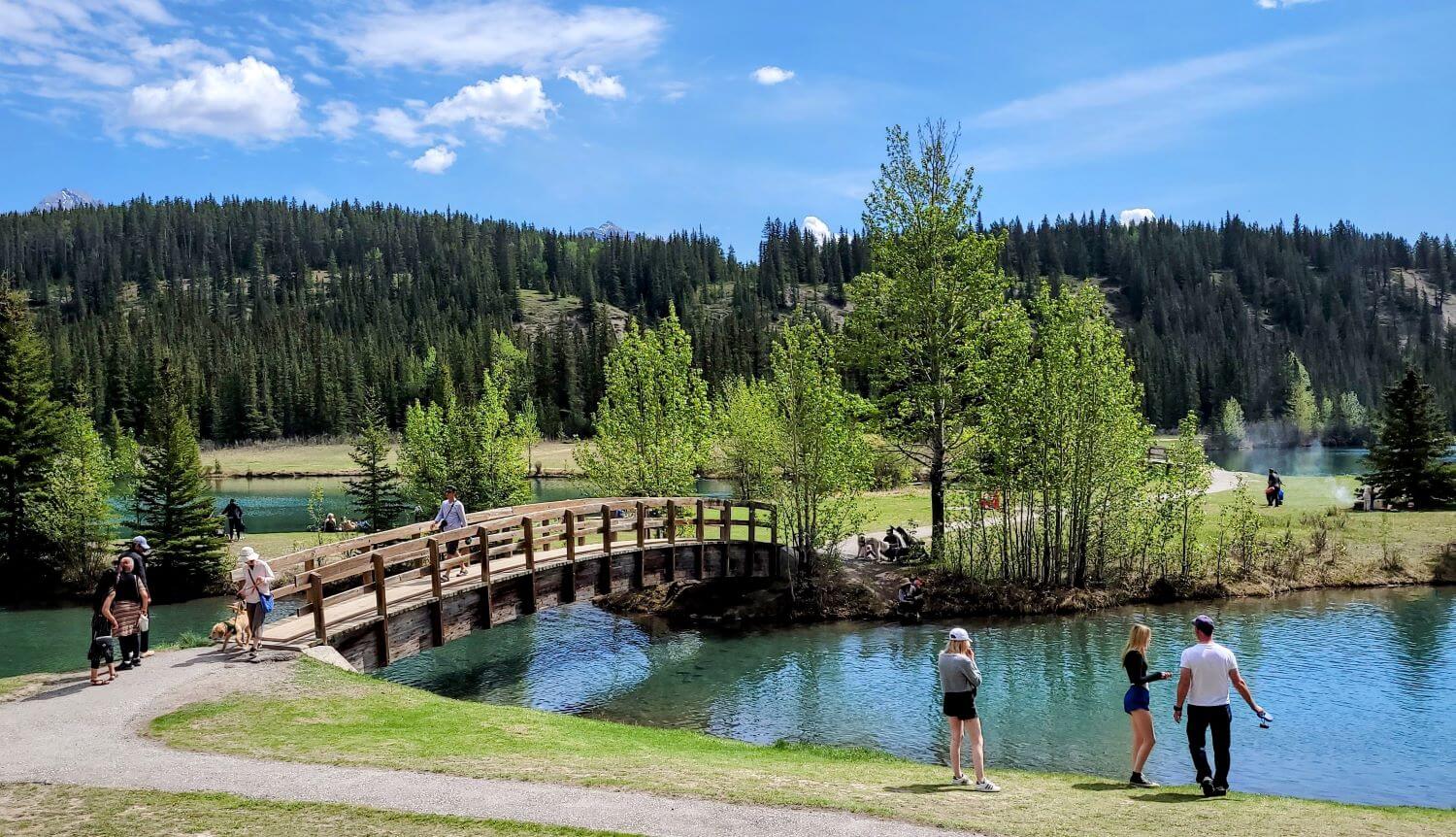 Visiting Banff in May: What To Do and What to Expect